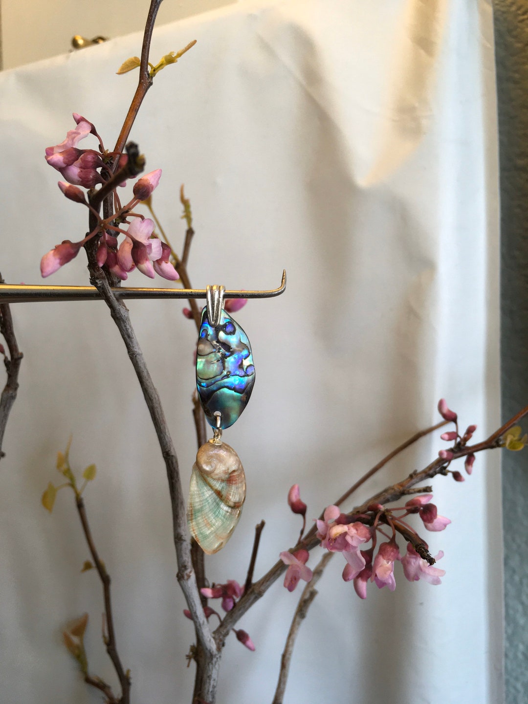Beautiful Abalone Pendant With Shell - Etsy