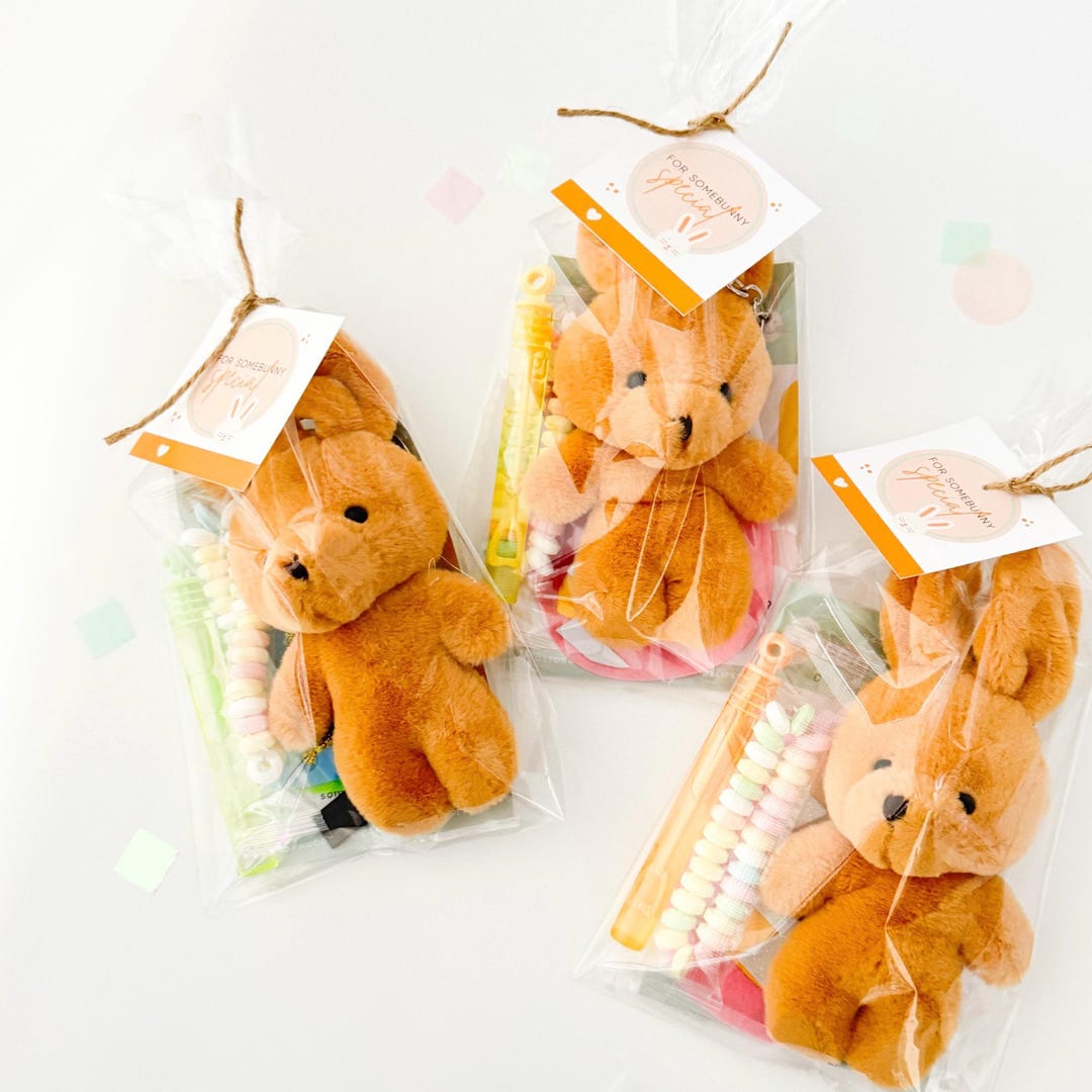 Easter Bunny Party Favor Bag | Kids Easter Basket Stuffer | Easter ...