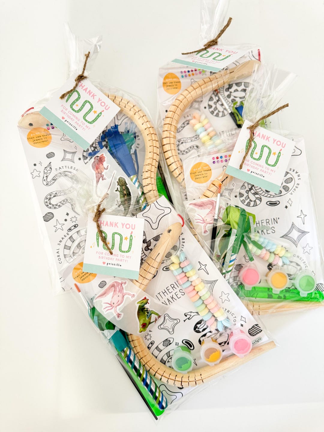 Snake Painting Party Favor Bag | Kids Reptile Birthday Party ...
