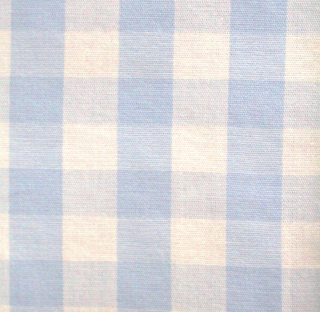 Ökotex Cotton Fabric Light Blue, Large Check (check Size 1 X 1.2 Cm ...