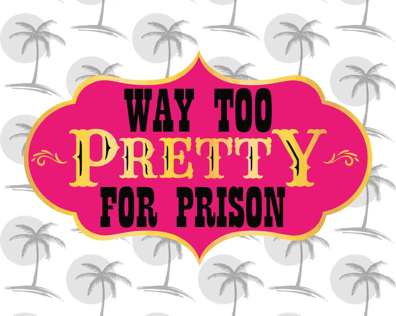 Way Too Pretty for Prison Digital SVG and PNG for Vinyl - Etsy