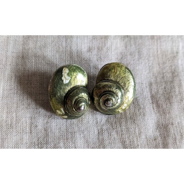 Shell Stud Earrings - Etsy