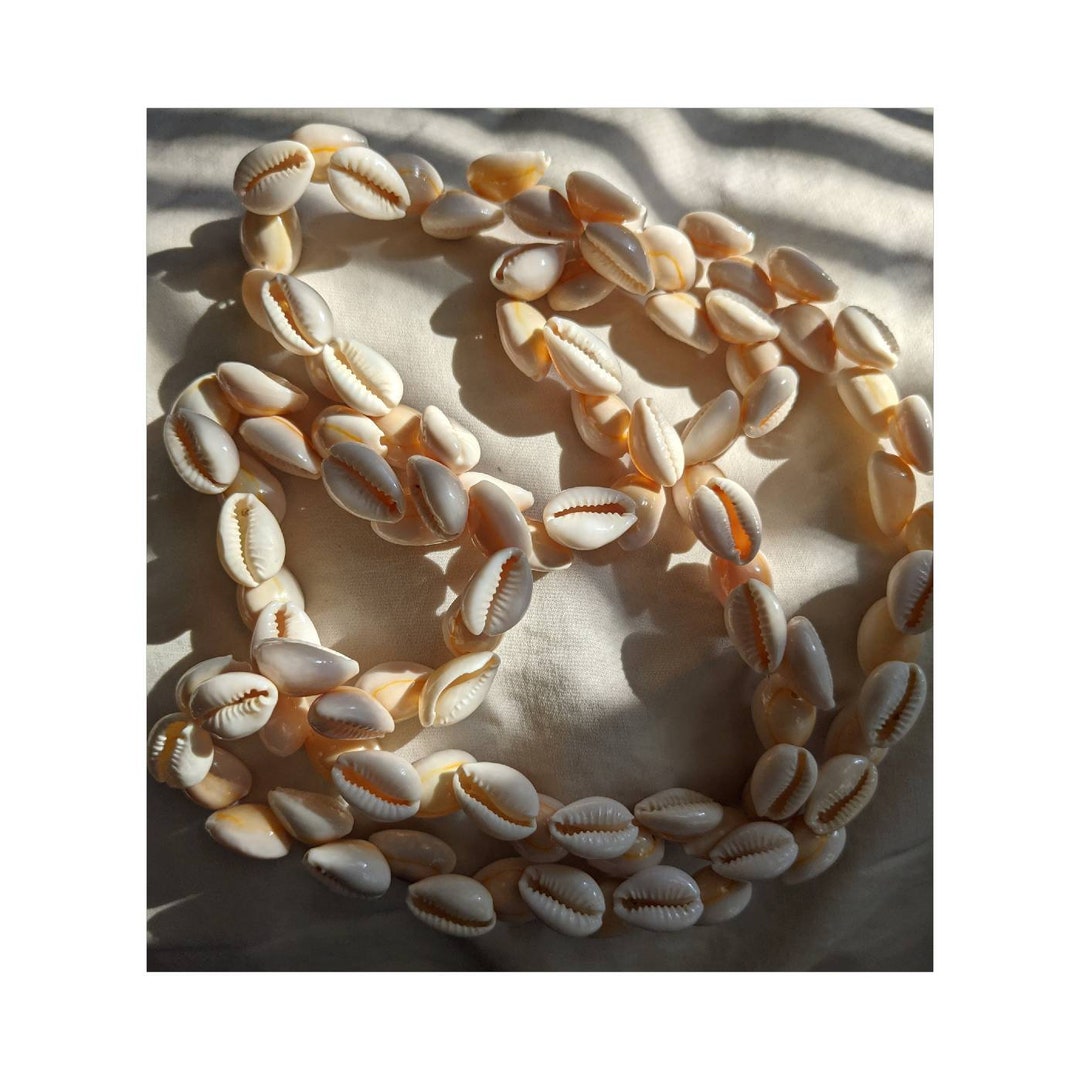 Vintage Cowrie Shell Necklace - Etsy