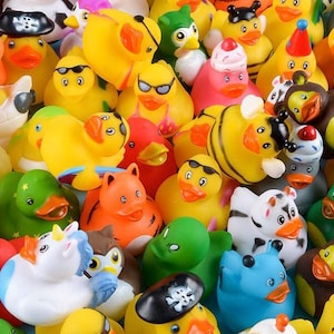 Quack Pack Duck Refill for Your Ducking Bag 30 Pre Tagged Ducks - Etsy