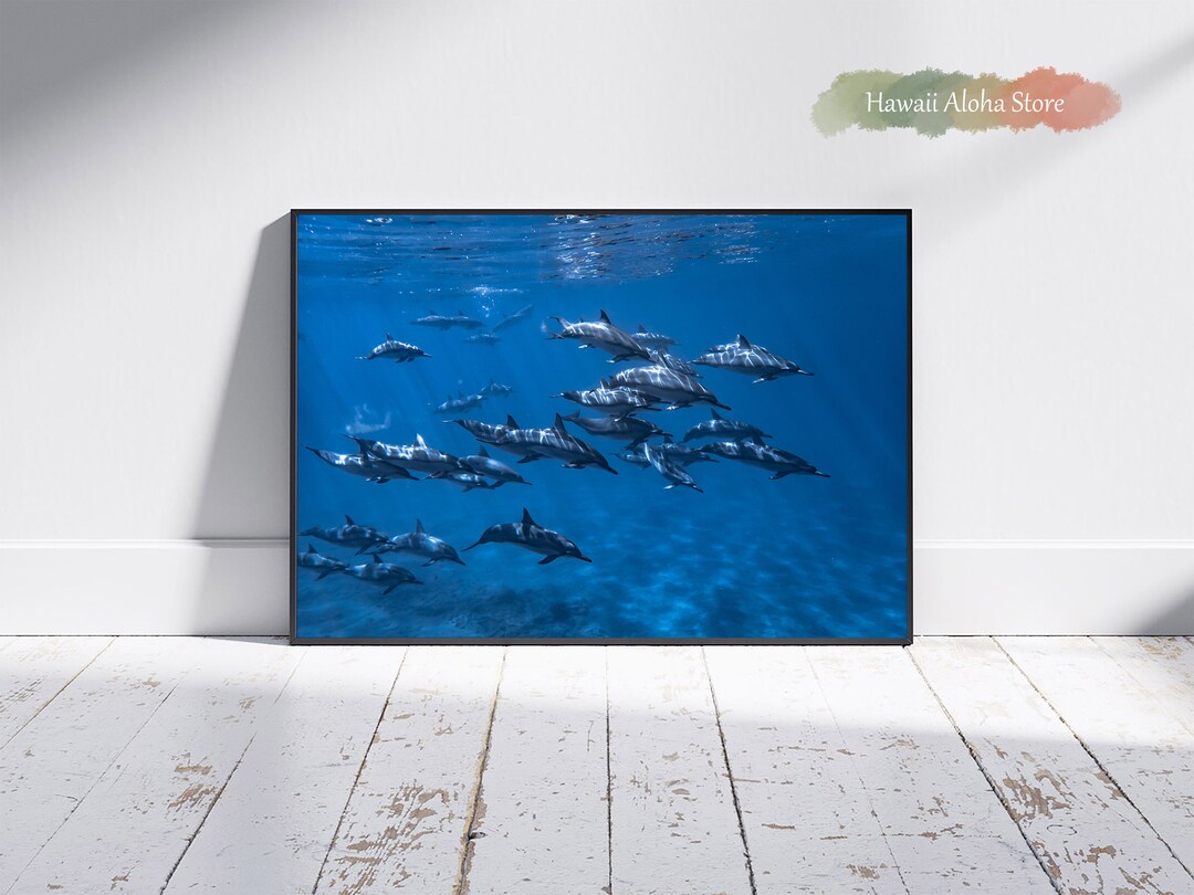 Dolphin Printable Art, Dolphin Poster Hawaii, Dolphin Art, Underwater ...