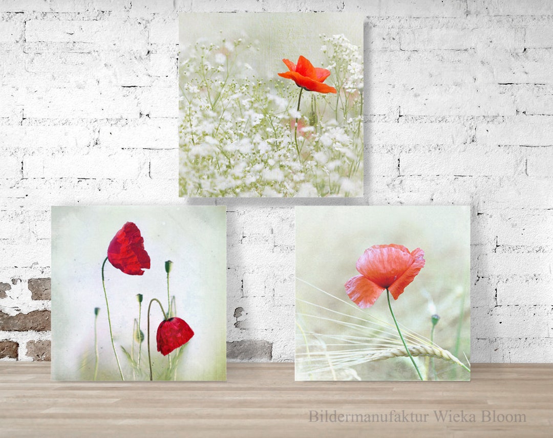 Flowers MOHNBLUMEN IN PASTELL Triptychon Blumenbild auf Holz - Etsy.de