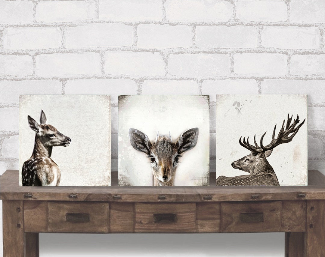 Waldtiere REH & HIRSCH Triptychon Bild auf Holz Leinwand Fineartprint Wanddeko Landhausstil ...