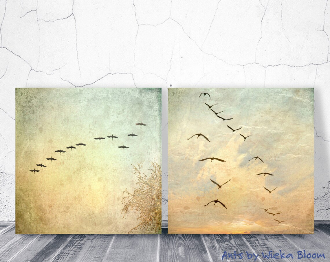 Birds KRANICHE 2er Set Tierbild auf Holz Leinwand Kunstdruck | Etsy