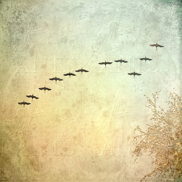 Birds KRANICHE 2er Set Tierbild auf Holz Leinwand Kunstdruck | Etsy