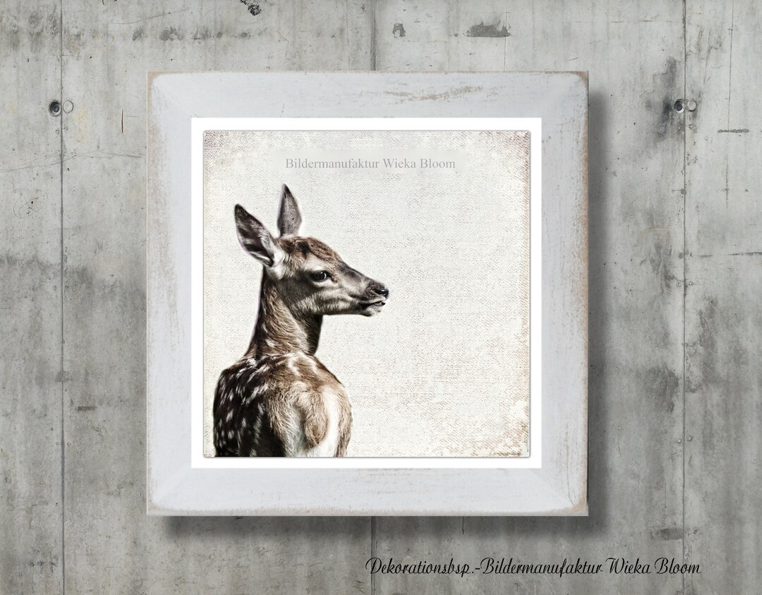 Waldtiere RICKE Tierbild auf Holz Leinwand Kunstdruck Print Wild Reh Deer Hirsch Wanddeko Bild ...