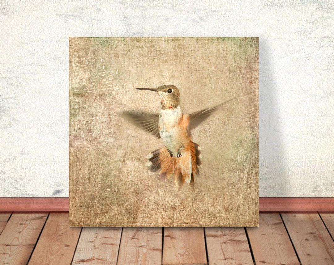 Little Birds KOLIBRI Tierbild auf Holz Leinwand Kunstdruck - Etsy.de