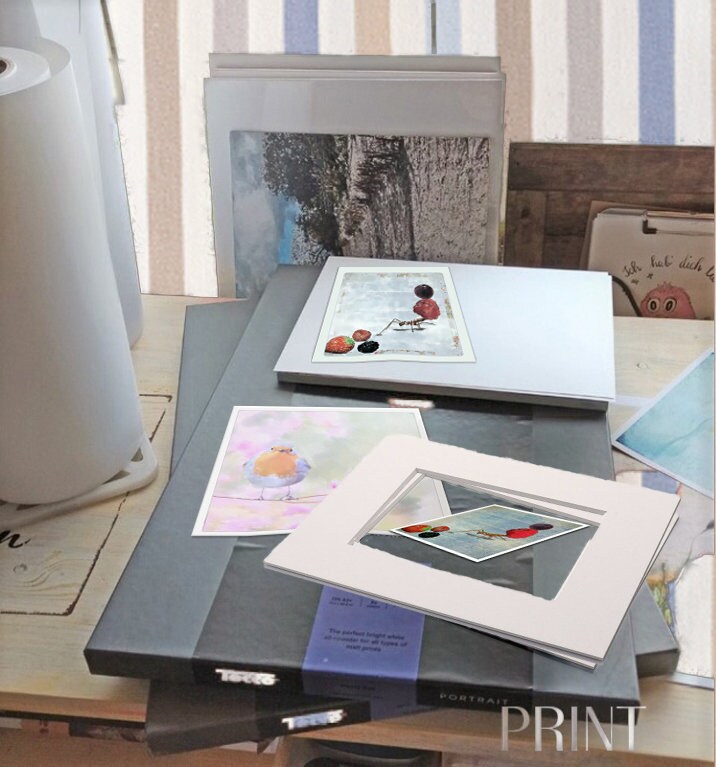 Birds KRANICHE 2er Set Tierbild auf Holz Leinwand Kunstdruck | Etsy