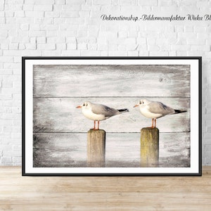 MÖWENPAAR Maritimes Bild auf Holz Leinwand Kunstdruck Print Wanddeko Rustikal Möwen Seevögel ...