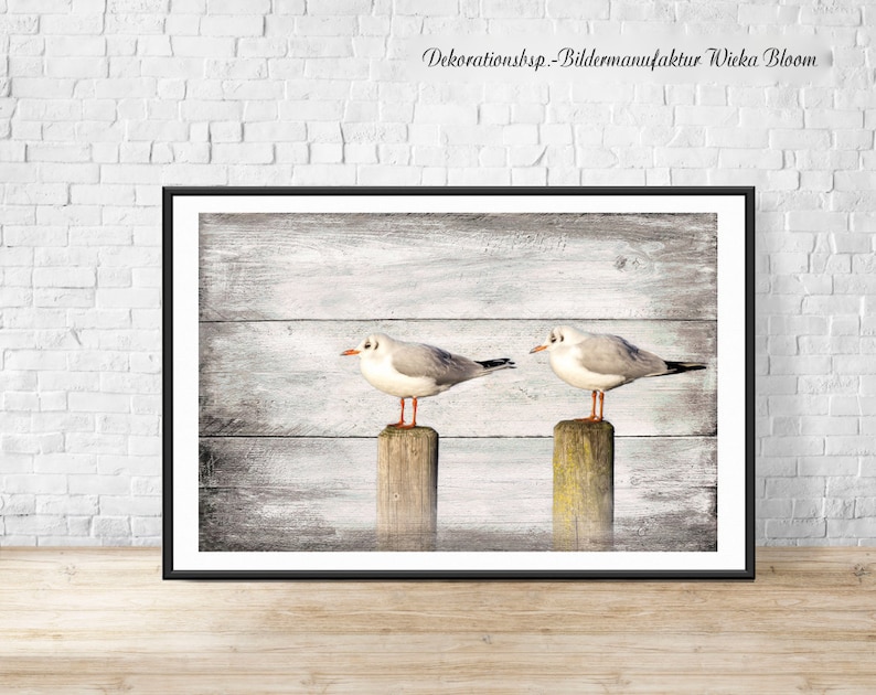 MÖWENPAAR Maritimes Bild auf Holz Leinwand Kunstdruck Print - Etsy.de