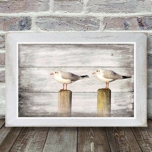 MÖWENPAAR Maritimes Bild auf Holz Leinwand Kunstdruck Print Wanddeko Rustikal Möwen Seevögel ...