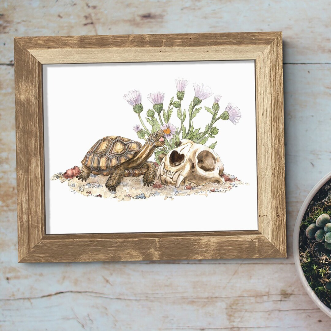 Tortoise and Floral Skull Art Print Agassiz's Tortoise and Bobcat Skull ...