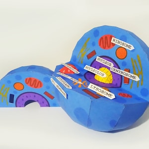 CELL PAPERCRAFT, Printable Animal Plant Cell, Education Papercraft, Diy ...