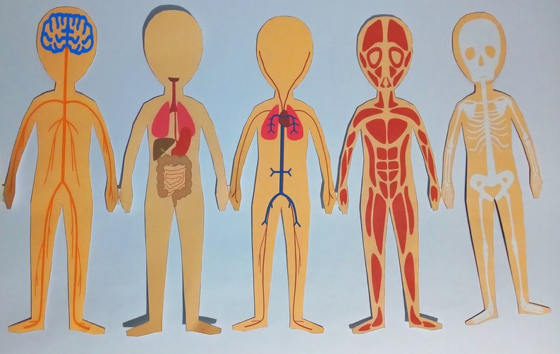 Paper 2d Model, BODY PRINT Template, Diy Paper Model, Body PAPERCRAFT ...