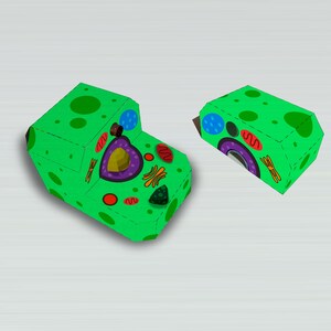 CELL PAPERCRAFT, Printable Animal Plant Cell, Education Papercraft, Diy ...
