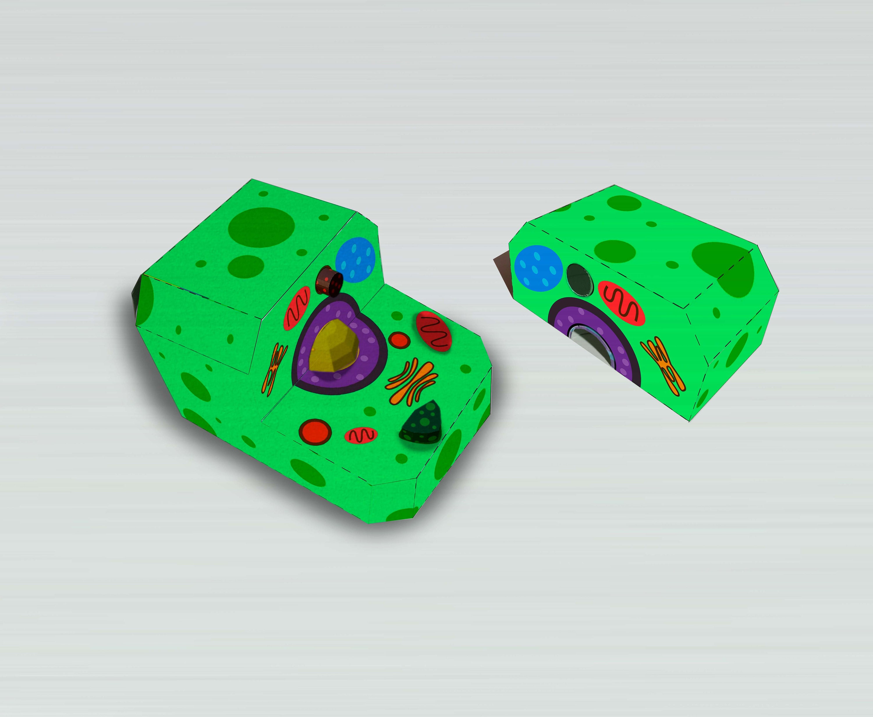 CELL PAPERCRAFT, Printable Animal Plant Cell, Education Papercraft, Diy ...