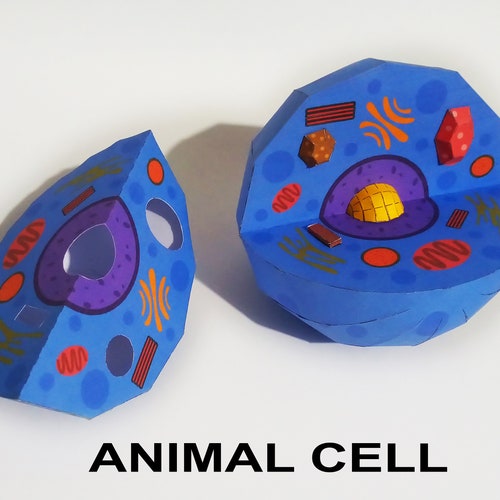 CELL PAPERCRAFT Printable Animal Plant Cell Education - Etsy