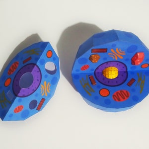 CELL PAPERCRAFT, Printable Animal Plant Cell, Education Papercraft, Diy ...