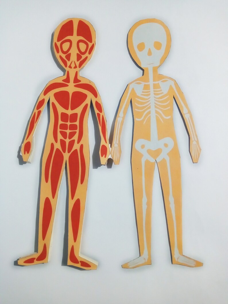 Paper 2d Model BODY PRINT Template Diy Paper Model Body - Etsy