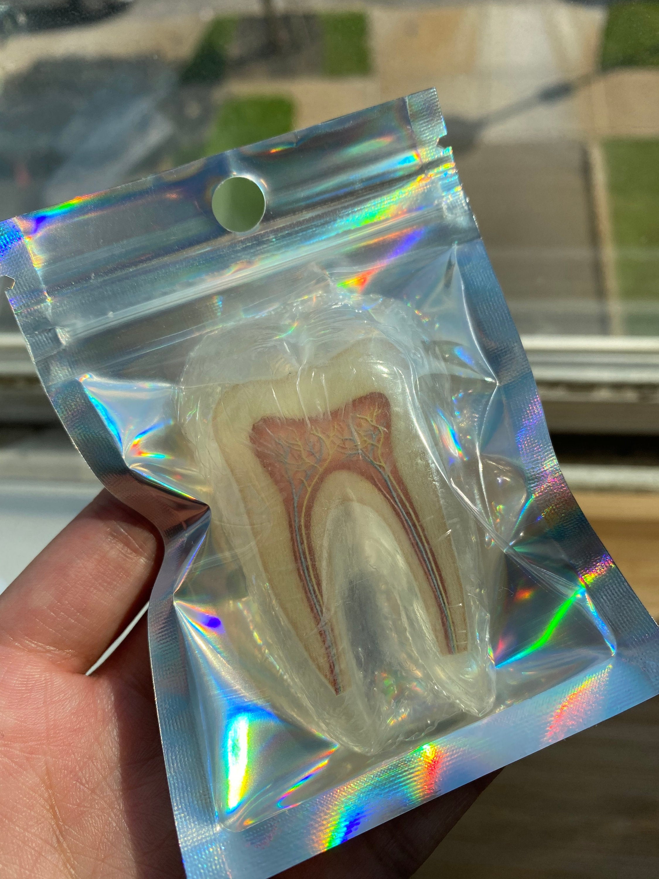 4 Dental Pulp Tooth Molar Soap Favors First Tooth Party Dental Office ...