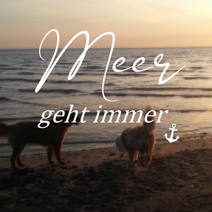 Aufkleber, Plott, maritim, Meer, Sticker, Spiegel, Wohndeko ...
