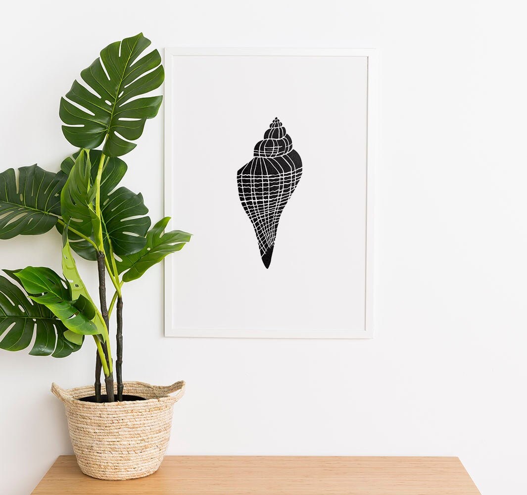 Prints 8x10 nautical art Black and White Seashell print coastal wall ...