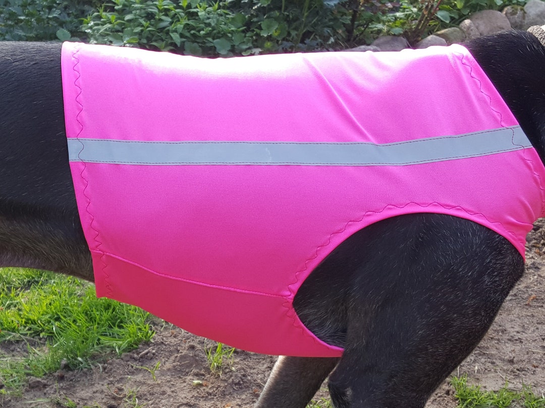 Greyhound Vest Pink, Greyhound Safety Vest, Dog Safety Vest, 5 Sizes - Etsy