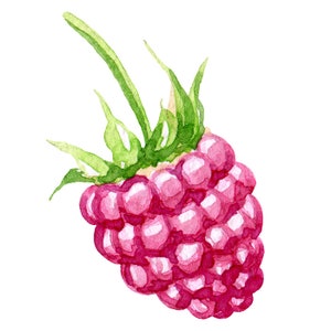 Watercolor Desserts Clipart, Watercolor Cakes Clipart, Watercolor ...