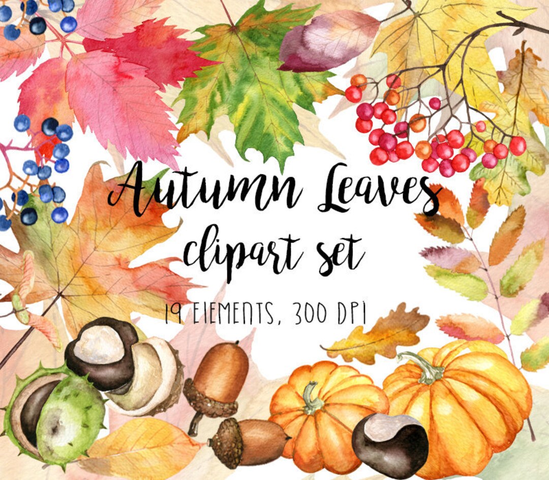 Autumn Clipart,watercolor Fall Clipart,autumn Leaves Clipart,maple ...