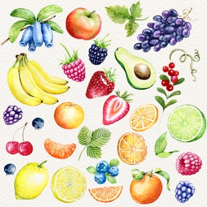 Watercolor Summer Fruits and Berries, Strawberry,avocado, Lime ...