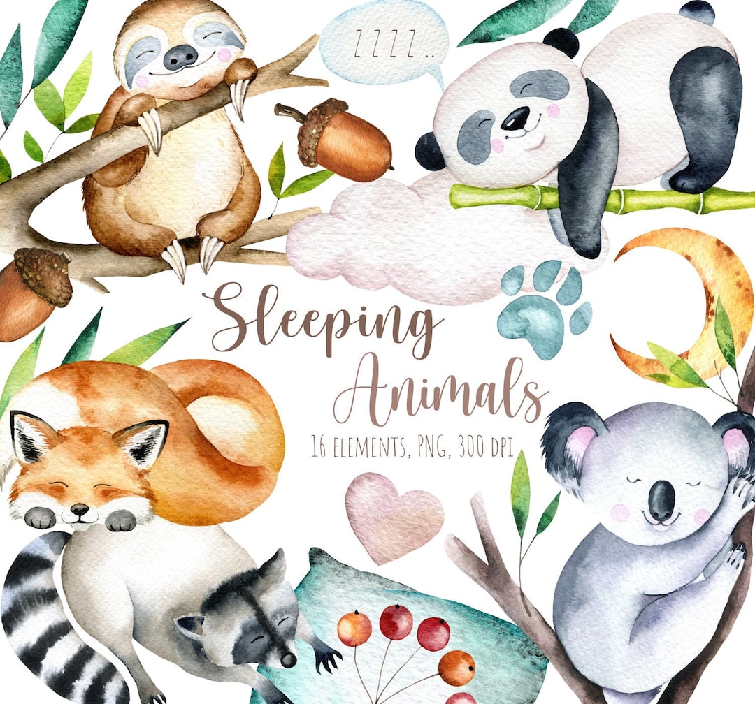 Cute Sleeping Animals Watercolor Clipart, Cute Sleeping Panda, Sweet ...