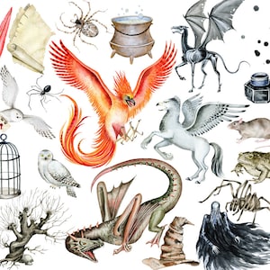 Magical Creatures,magic School Clipart,wizard Supplies,potions,phoenix ...