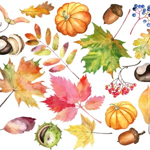 Autumn Clipart,watercolor Fall Clipart,autumn Leaves Clipart,maple ...