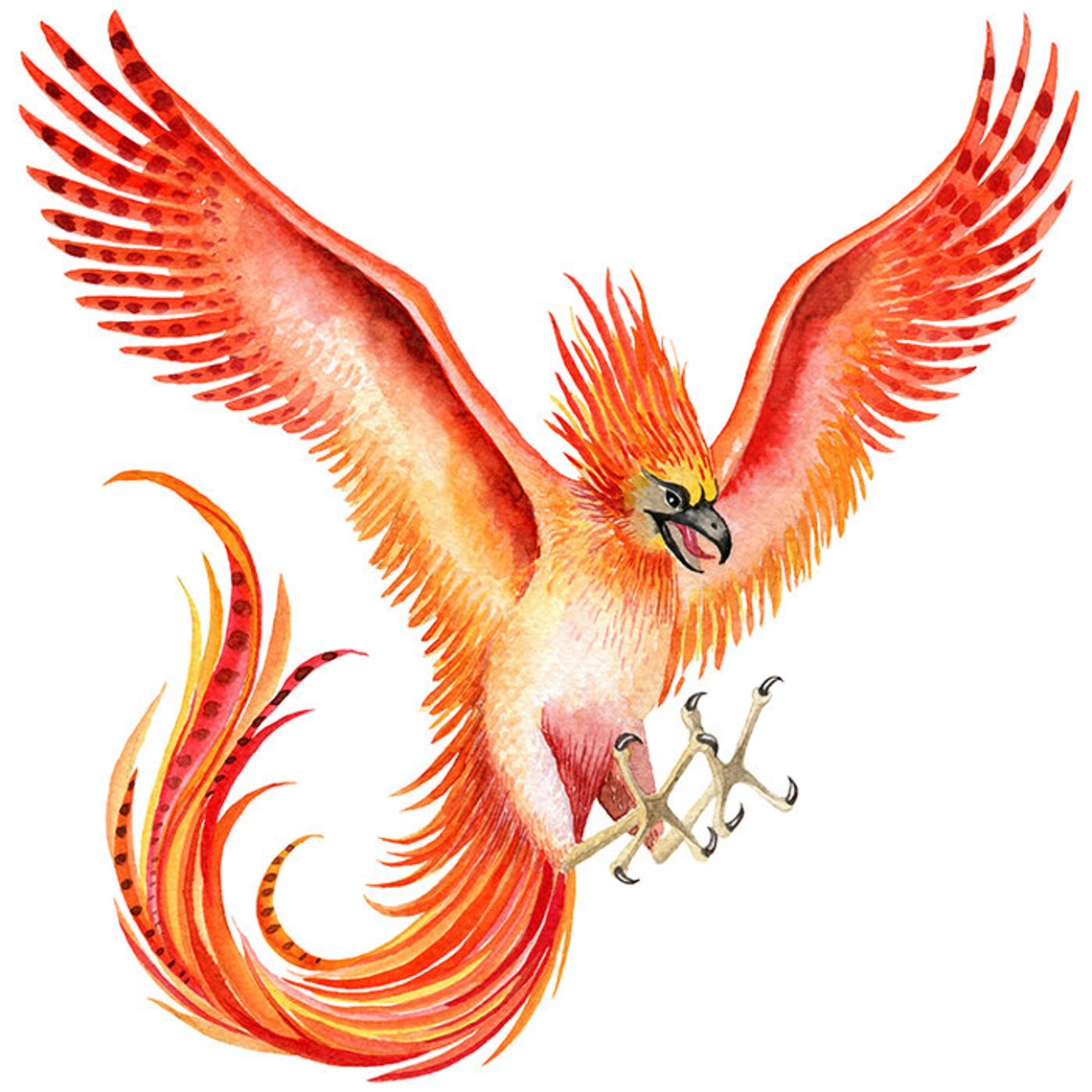 Magical Creaturesmagic School Clipartwizard - Etsy