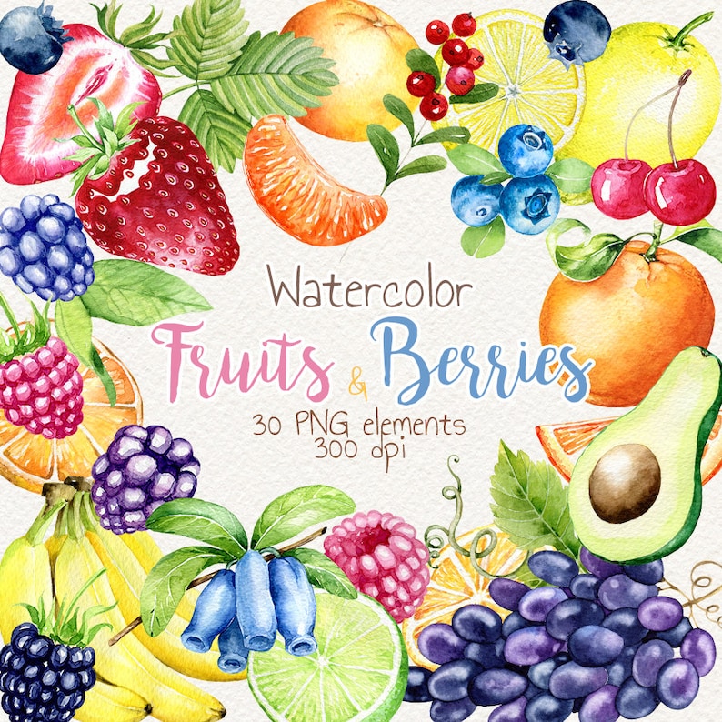 Watercolor Summer Fruits and Berries, Strawberry,avocado, Lime ...