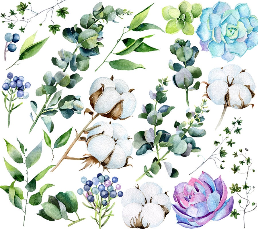 Succulent Clipart, Watercolor Succulents,eucalyptus Wreath,cotton ...