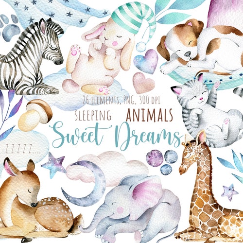 Watercolor Good Night Clip Art Sweet Dreams Clipart Moon - Etsy