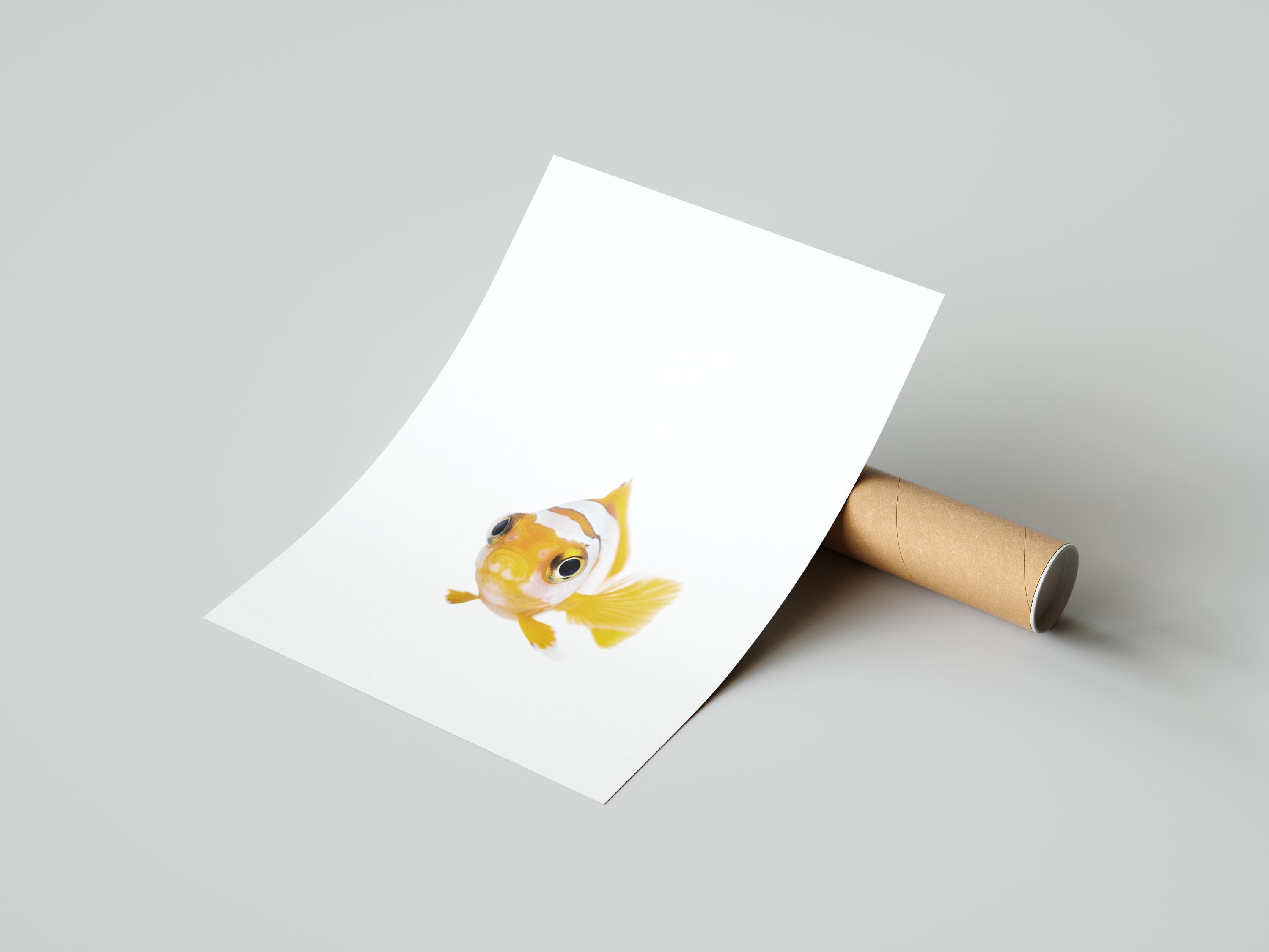 Clown Fish NURSERY DECOR, Nursery Posters Baby Animal Prints, Jungle ...