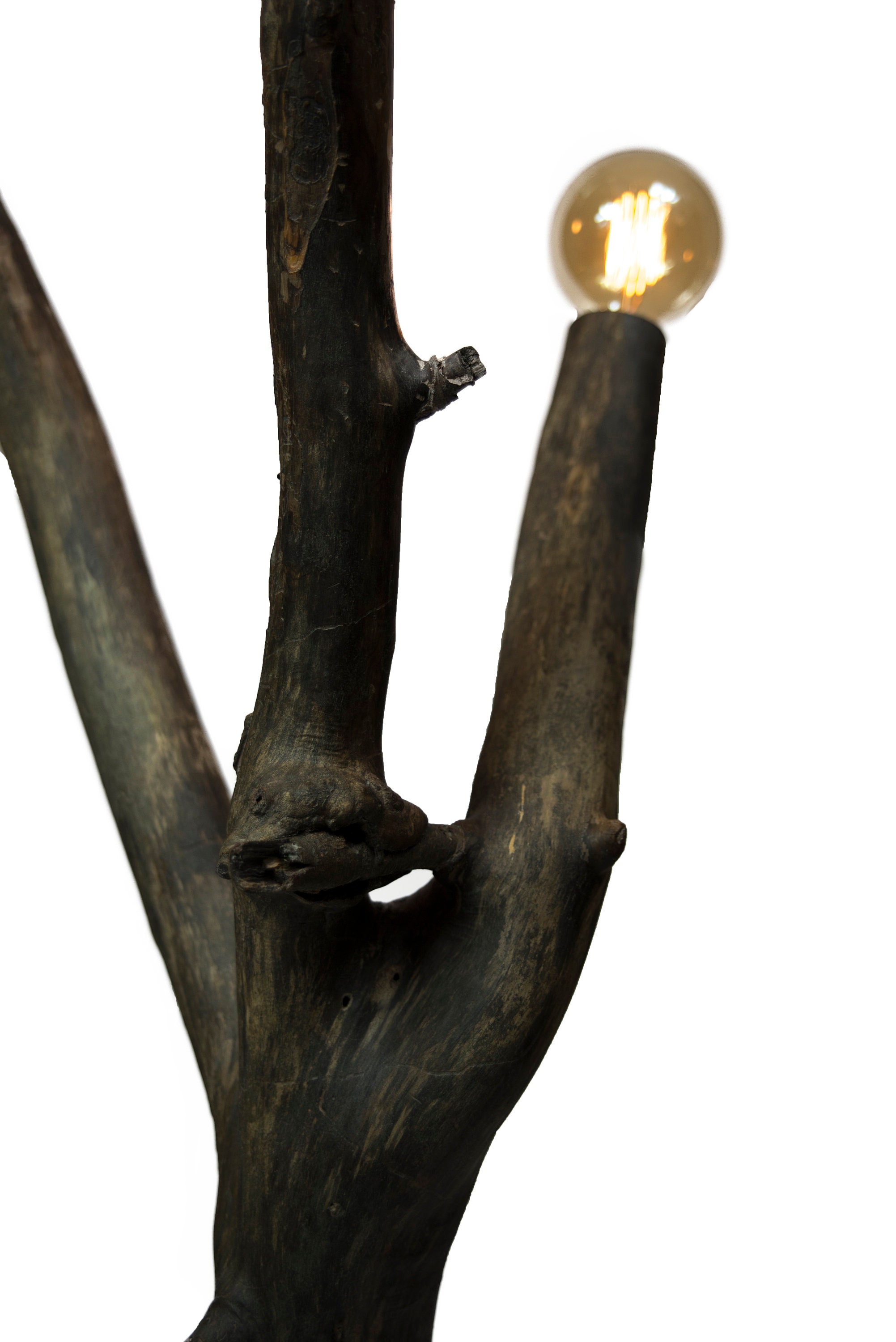 Original Wooden Ash Lamp With Edison Light Bulbs, Floor Lamp on a Stone ...