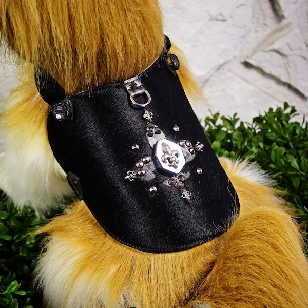 Luxury Dog Clothes - Etsy