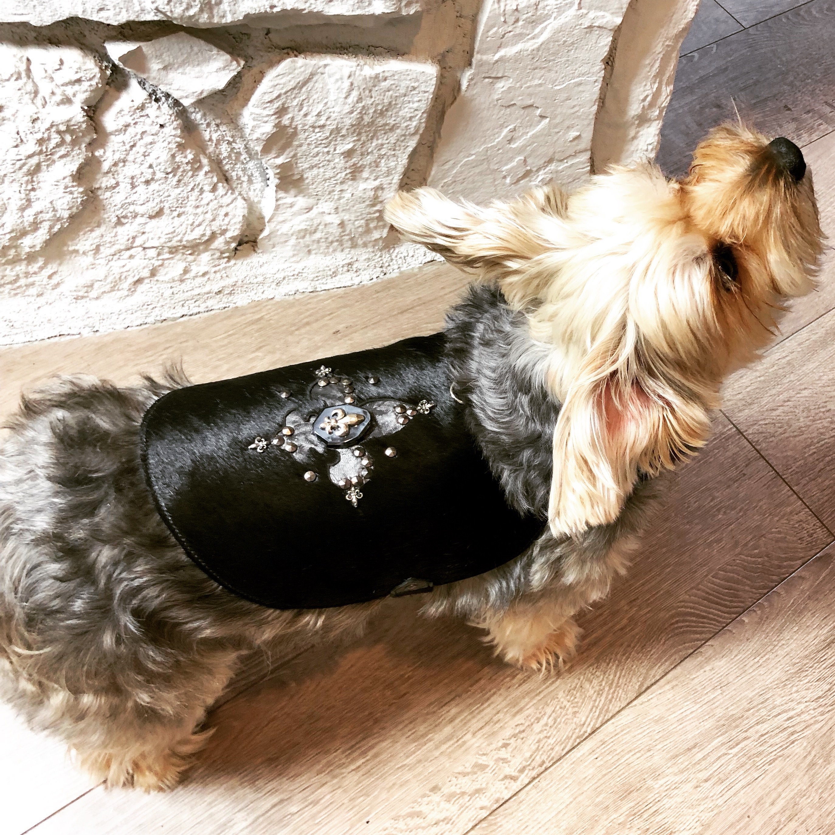 Black Luxury Dog Harness / Designer Dog Harness - Etsy