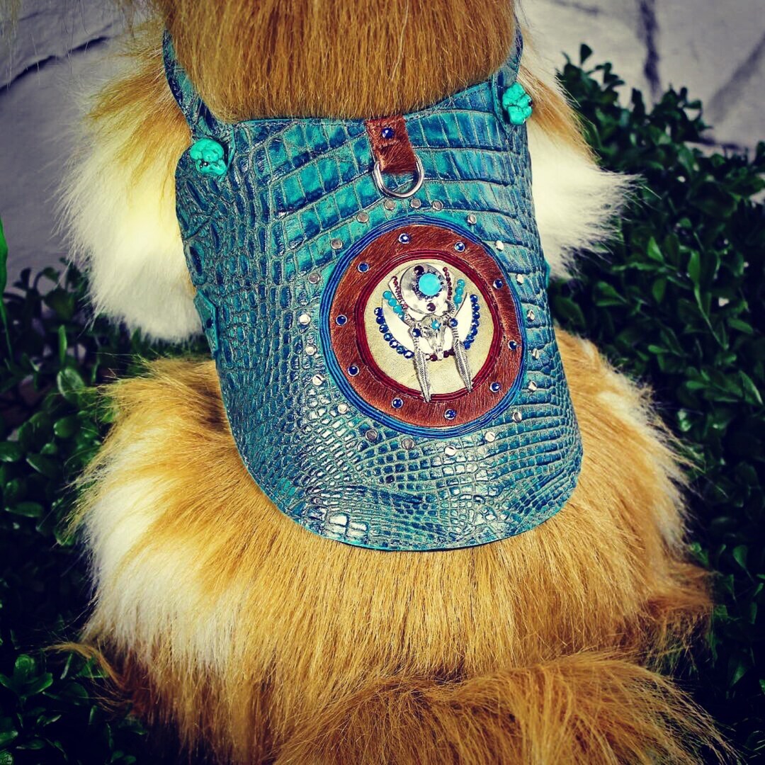 Luxury Dog Harness/ Turquoise Dog Harness - Etsy