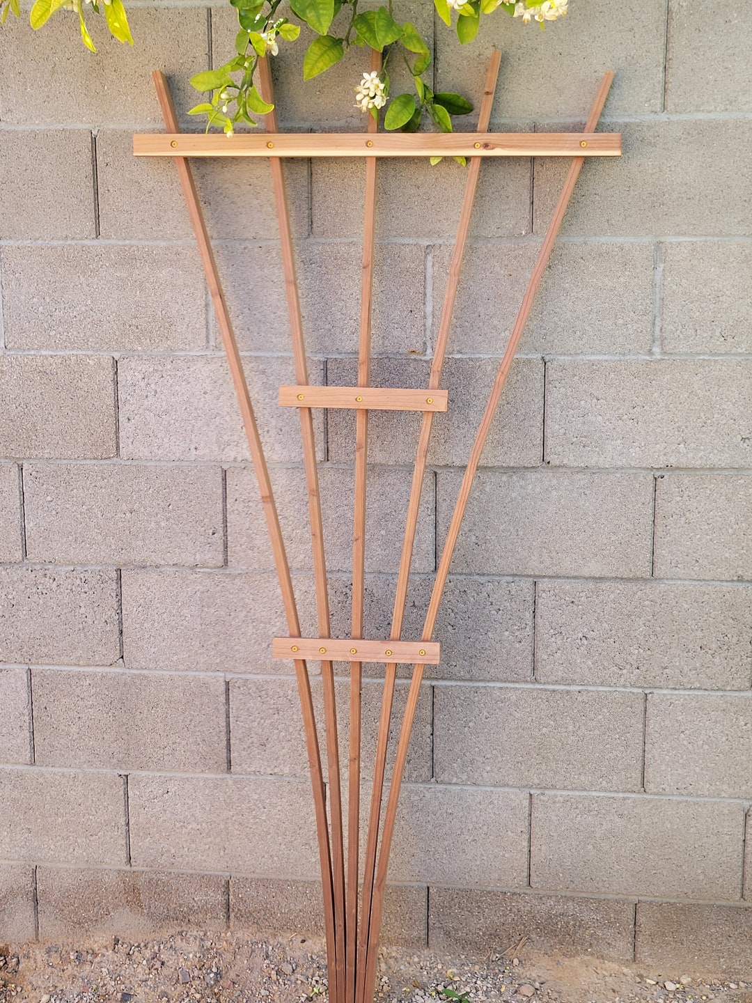 Handmade Redwood Fan Trellis - Etsy