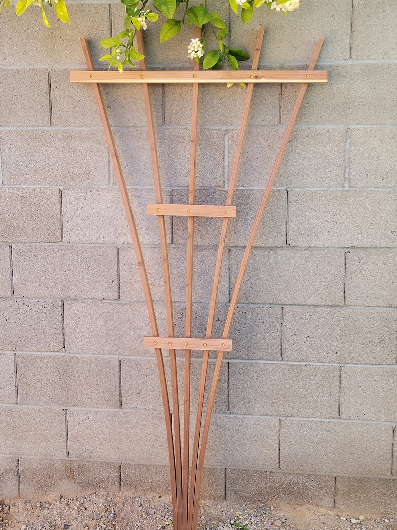 Handmade Redwood Fan Trellis - Etsy
