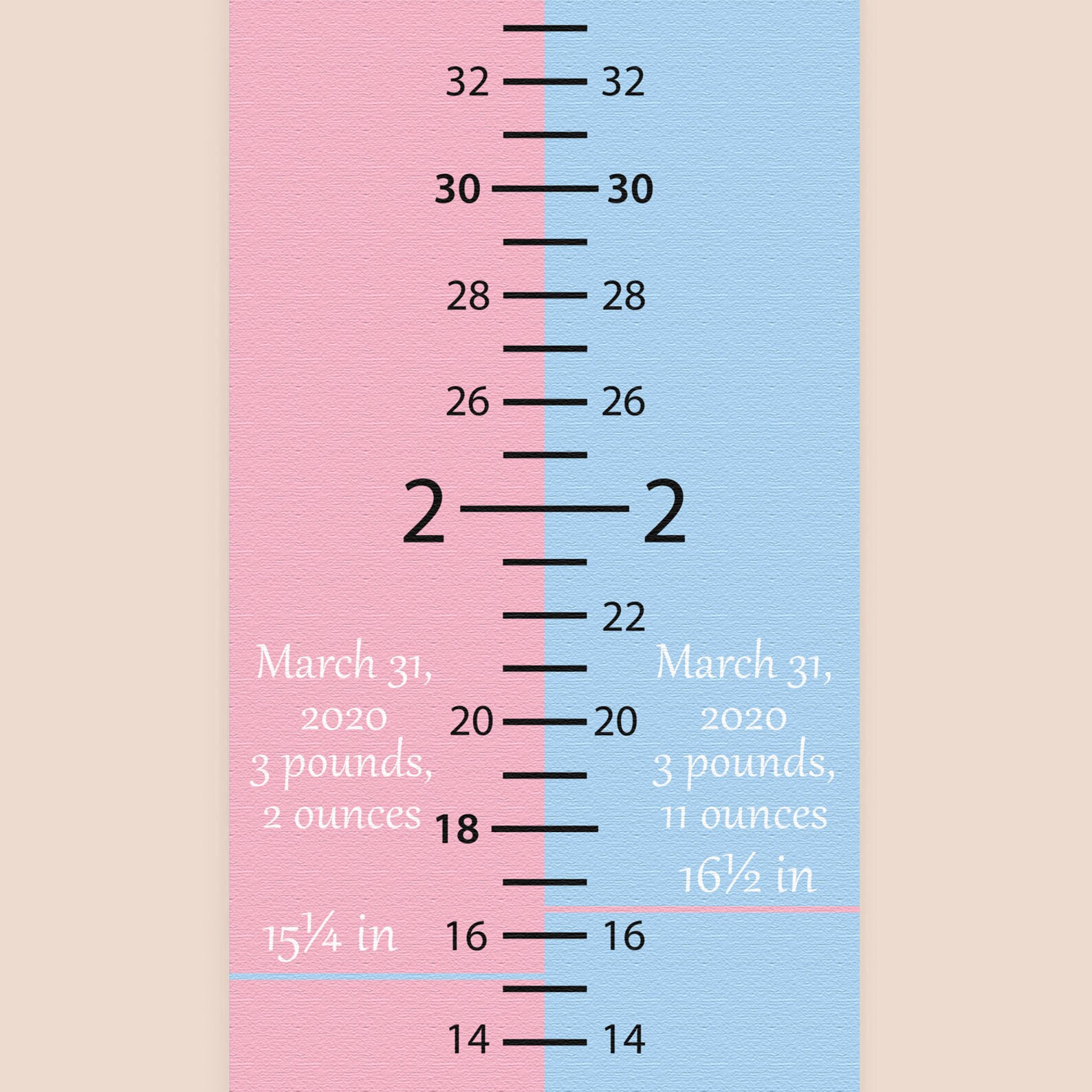 twin-height-chart-height-rule-two-children-s-custom-gift-etsy