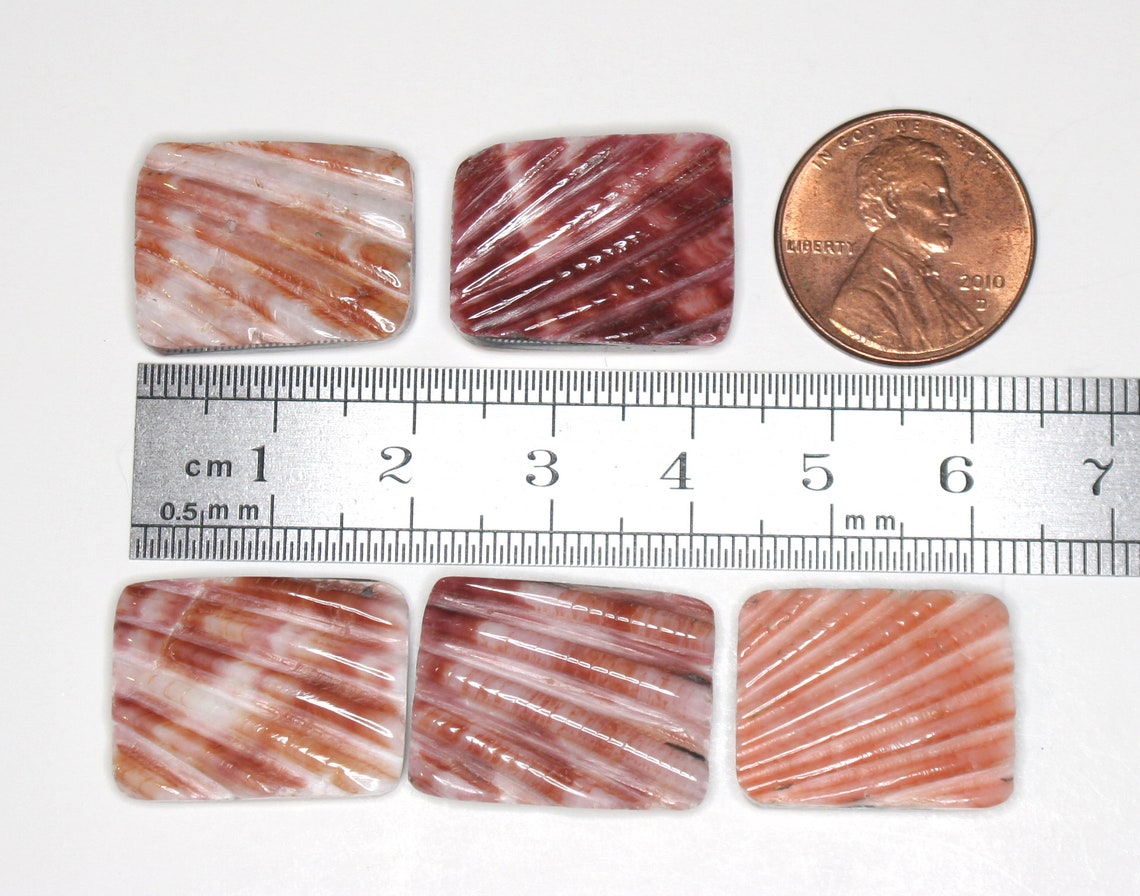 2 Carved Pecten Scallop Shell Beads Coin or Rectangle Shape - Etsy